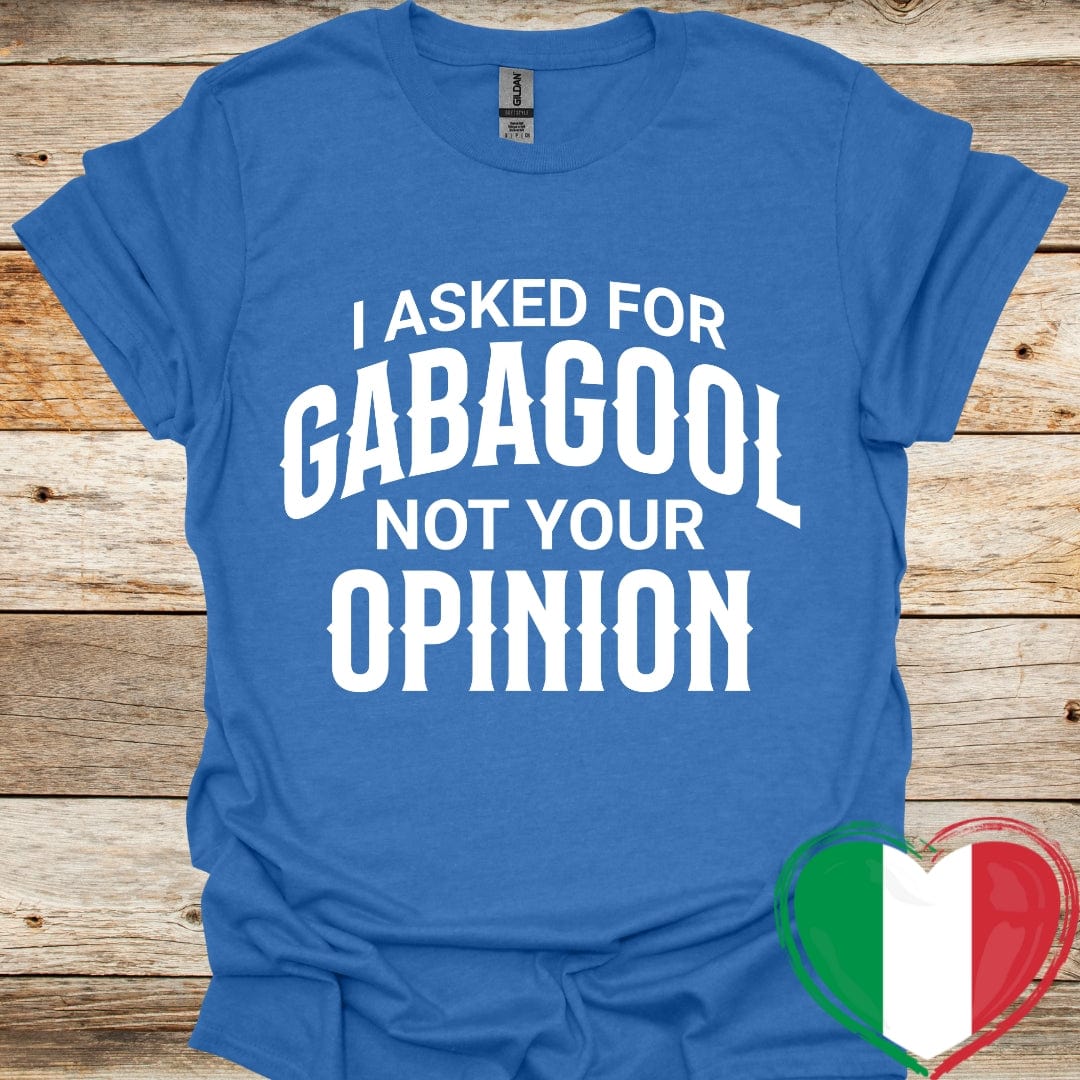 Funny Sarcastic I Asked for Gabagool Italian Food T-shirt – Paisano Prints